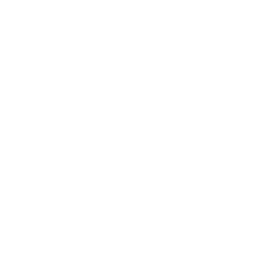 Solutions Terminology